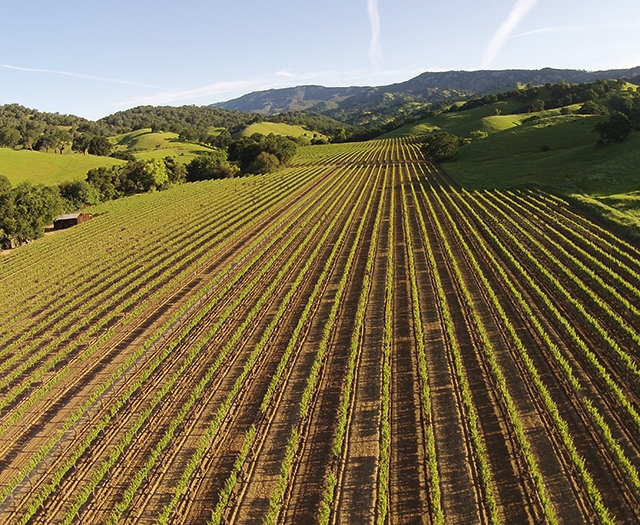 Fairfield Is More Than a Dot on the Map