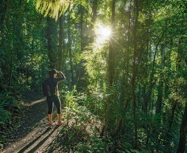 Bathing in the Forest - www.oaklandmagazine.com