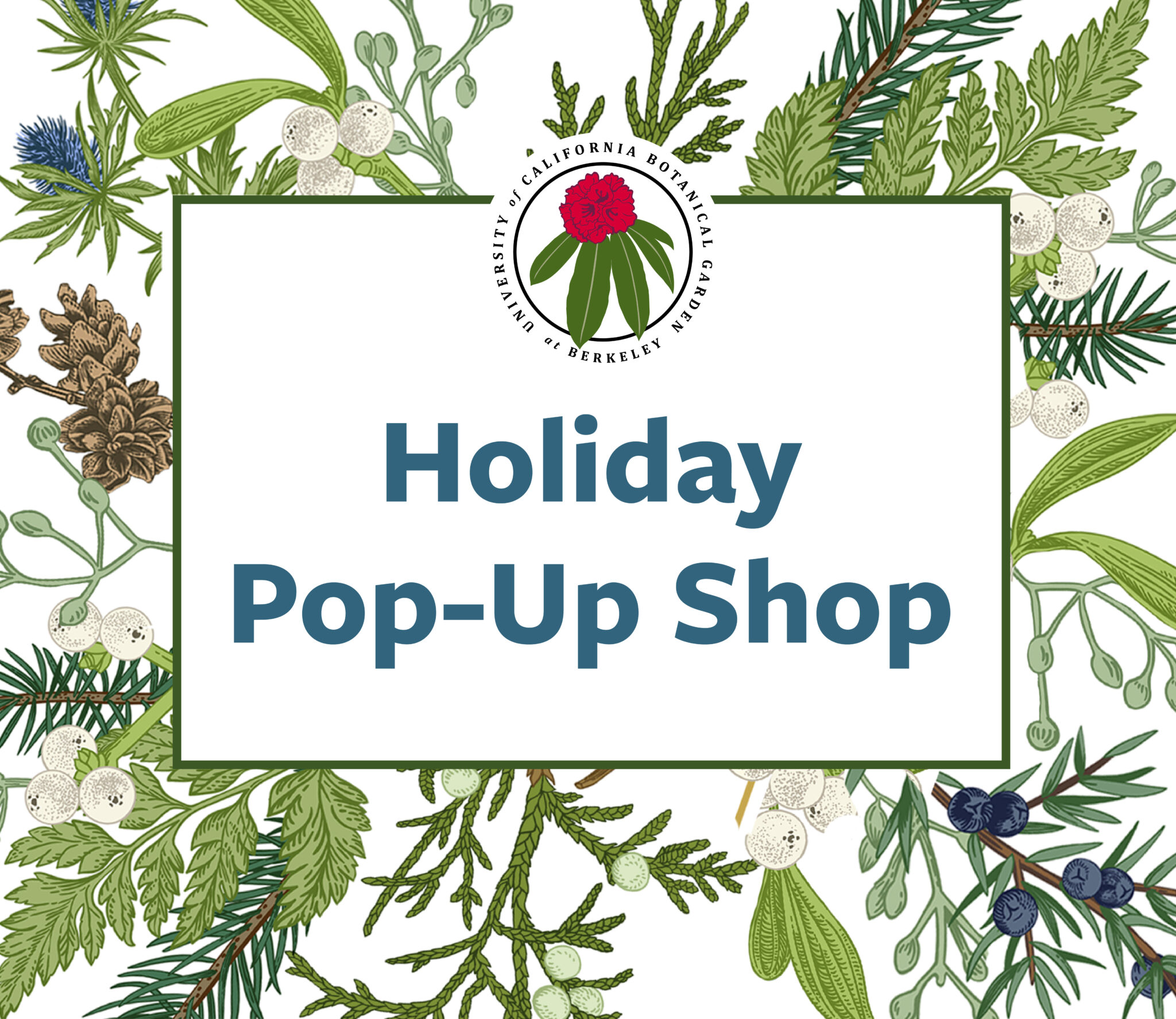 Holiday Pop-Up Shop - www.oaklandmagazine.com